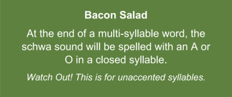 Bacon Salad and Travel by Camel - Silver Moon Spelling Rules